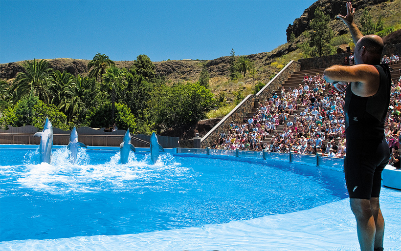 Palmitos Park, Gran Canaria